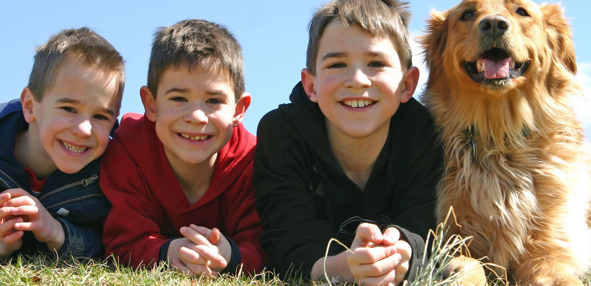 Contact - Learn2Communicate